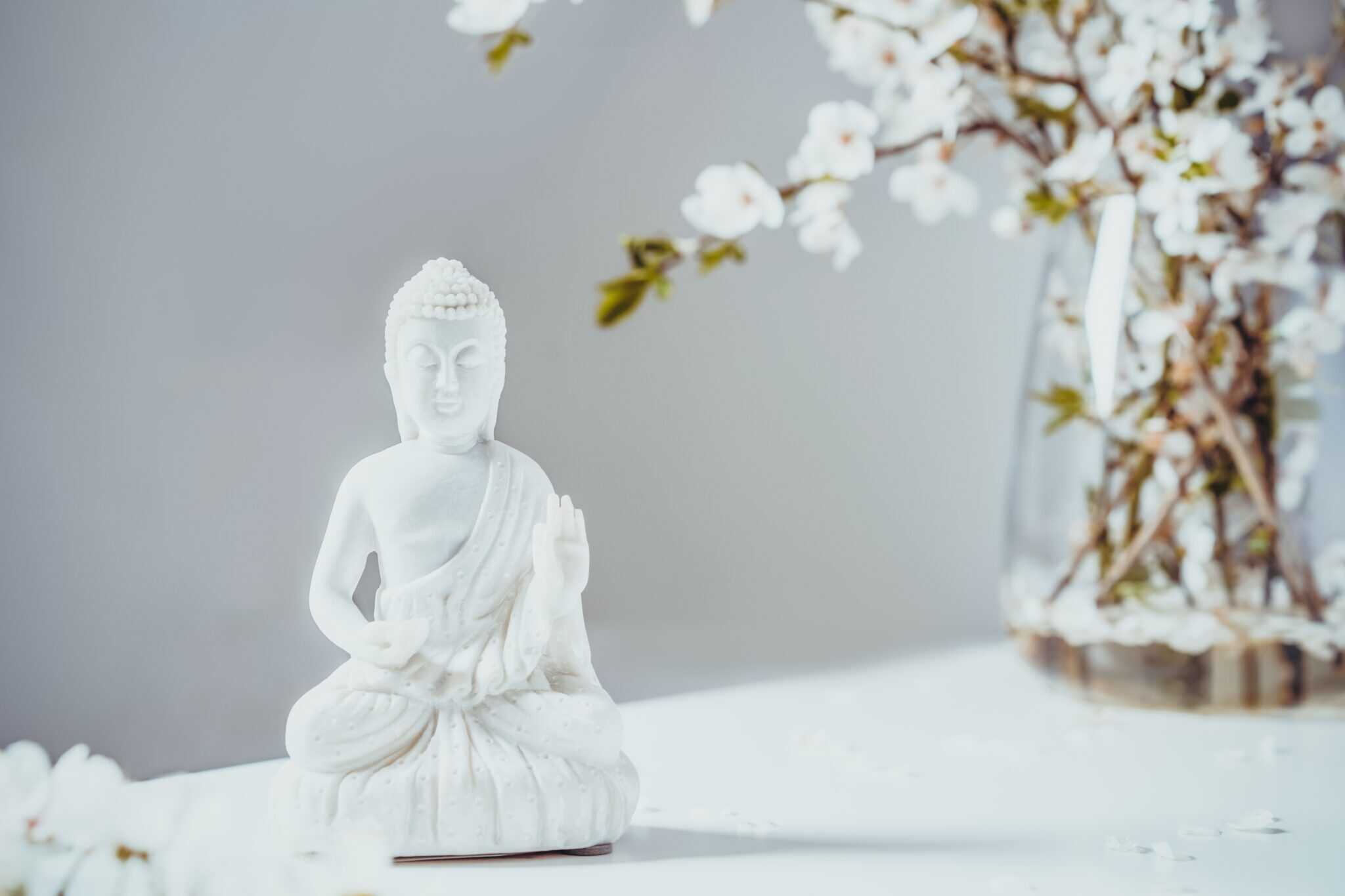 The Five Precepts In Buddhism: A Guide To Ethical Living | Browse Wellness